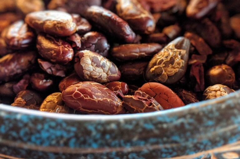 Cacao: Superfood Benefits & Ancient Wisdom | Costa Dulce Wellness Blog